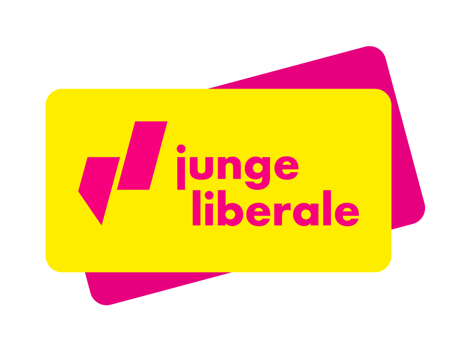 First Things First – Bundestagswahlprogramm 2025 der Jungen Liberalen ...